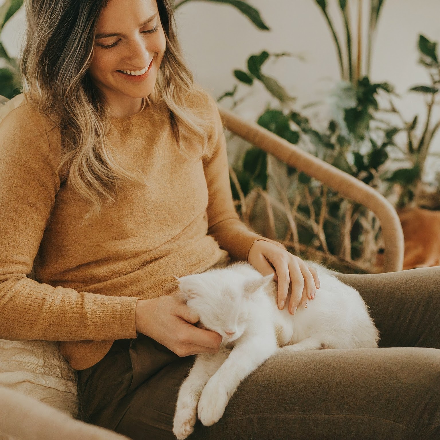A Quick History of Cats: From Fierce Hunter to Cozy Couch Potato